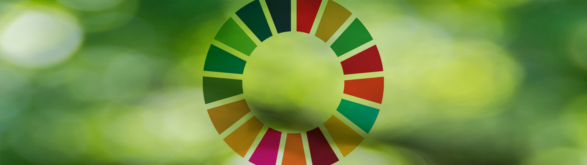 Sustainable Development Goals